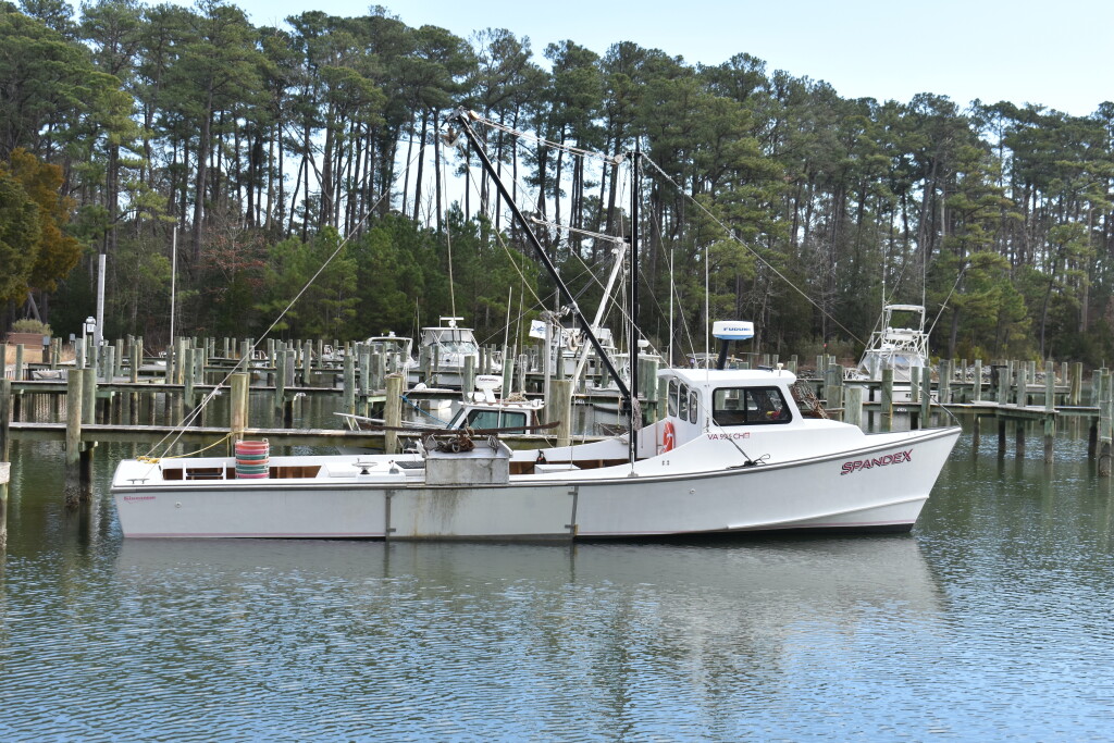 Oystering in Spandex: New launch is a better fit for Chesapeake ...