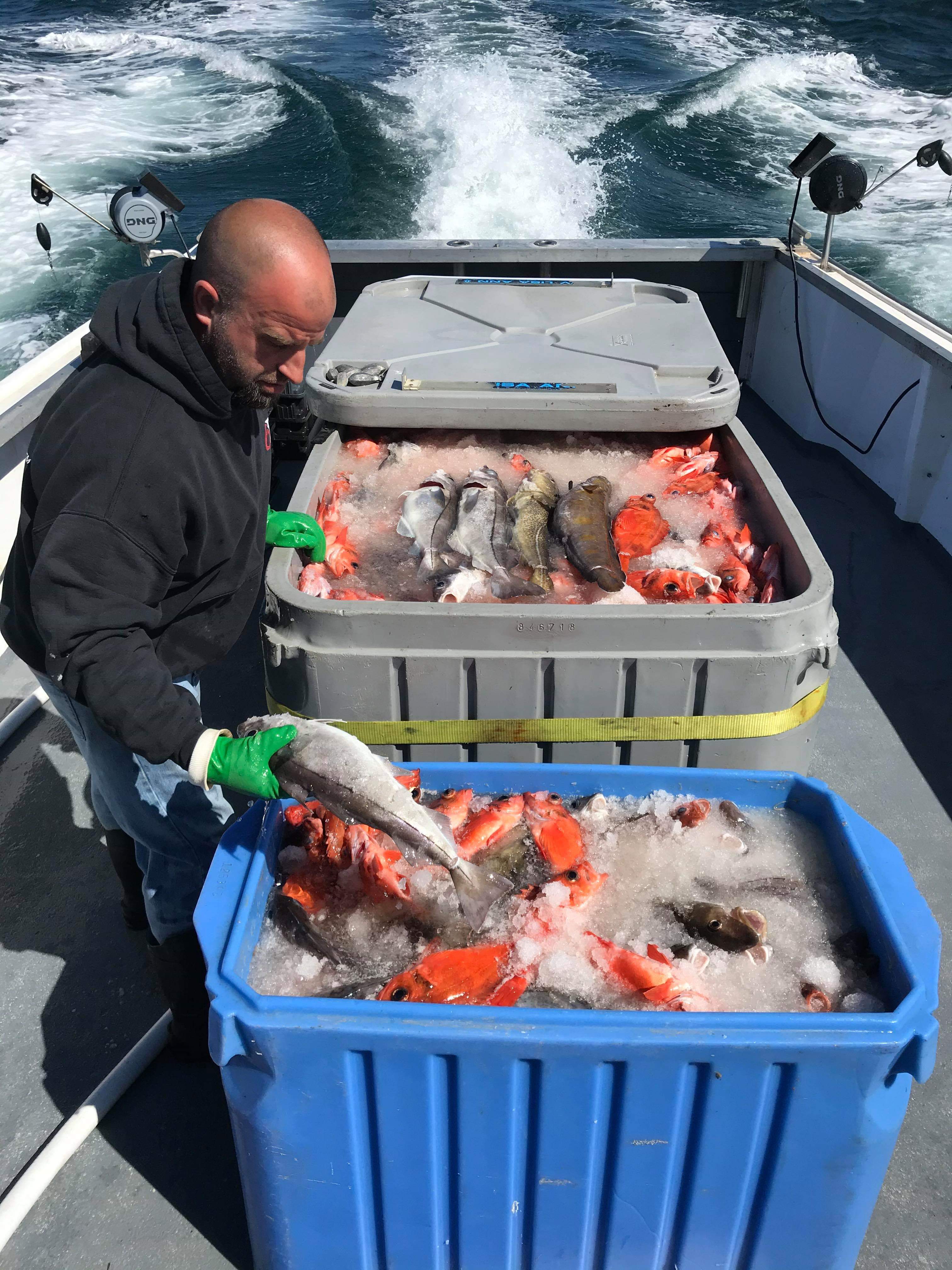 Killin’ With a Purpose | National Fisherman