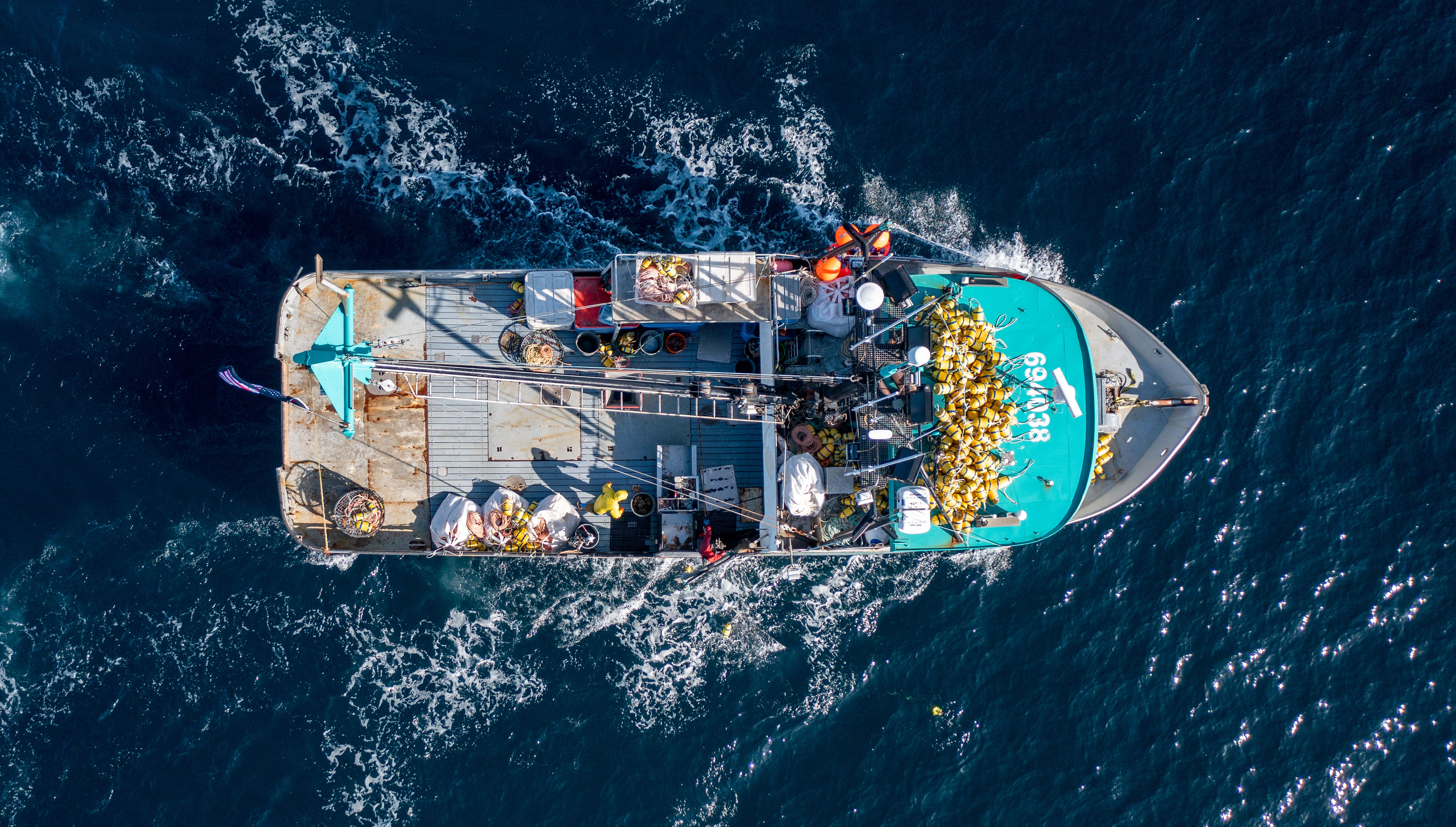 Oregon Sea Grant's Dungeness crab fishing photo series: A captivating ...