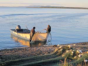 Cod, salmon at top of agenda as Alaska Board of Fisheries gears up ...