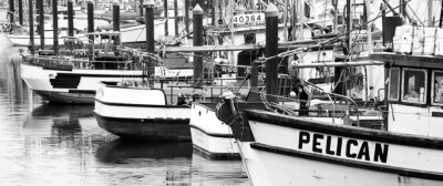 SE Alaska trollers speak out to protect fisheries | National Fisherman