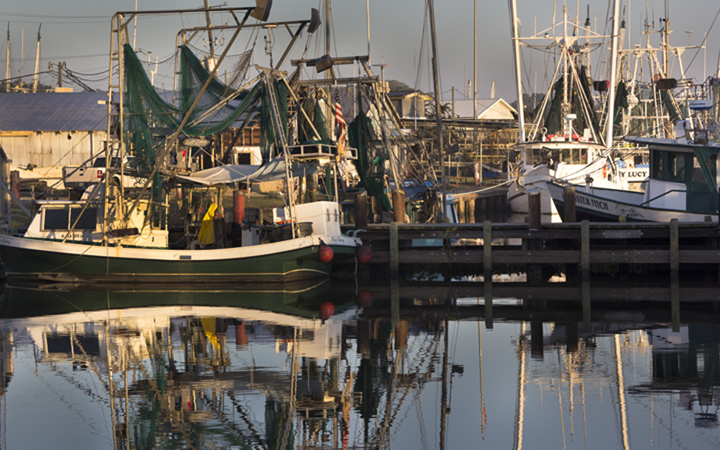 Louisiana shrimp port gets $2 million in federal infrastructure funds ...