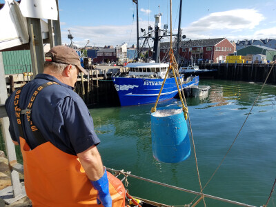 NOAA outlines law enforcement efforts | National Fisherman