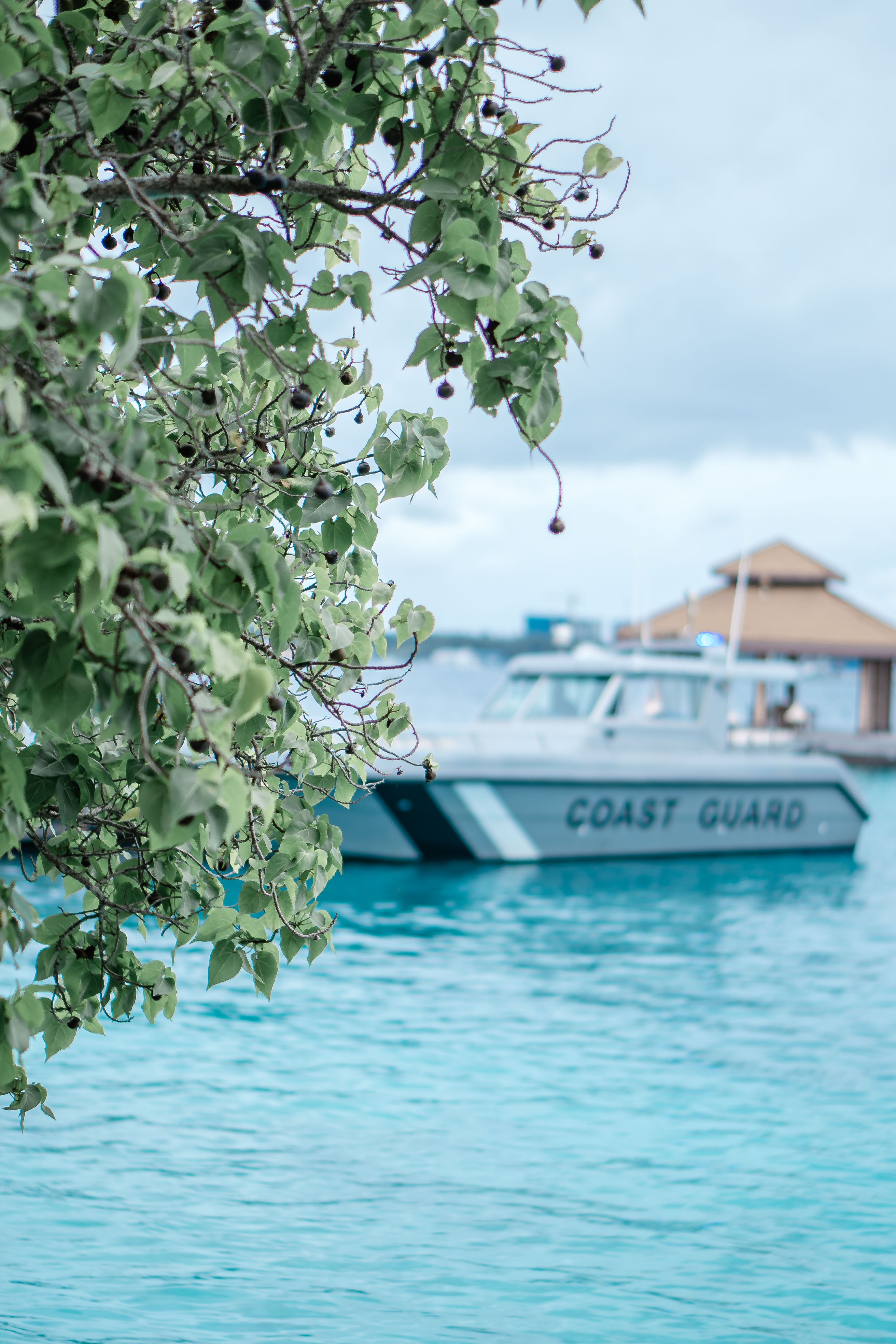 Fishing Industry Credit Enhancement Act: A lifeline for coastal fishing ...