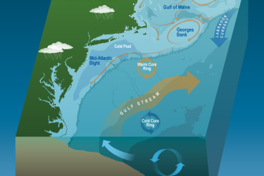 East Coast fisheries ‘climate scenario’ workshop planned | Diversified ...