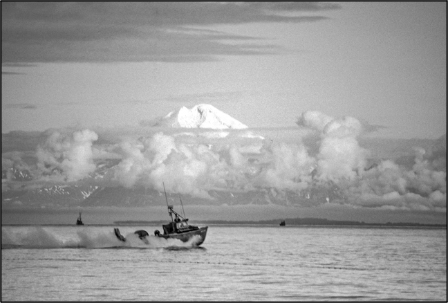 Alaska issues salmon forecast for Cook Inlet | National Fisherman