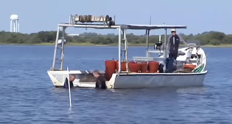 Florida clammers assess damage from Hurricane Idalia | National Fisherman