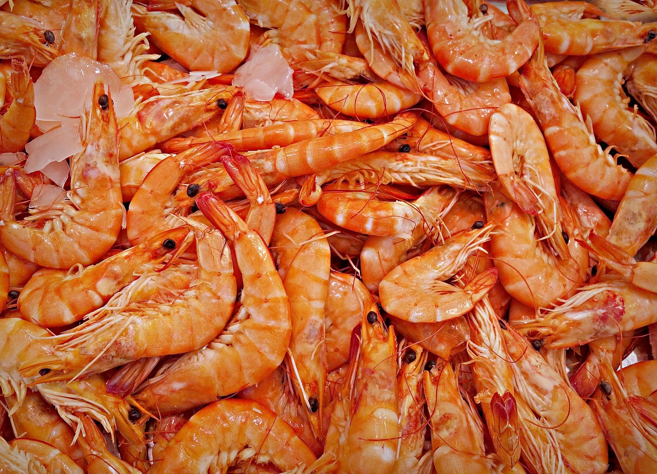 Seafood Watch OKs certain Vietnamese farmed shrimp | National Fisherman