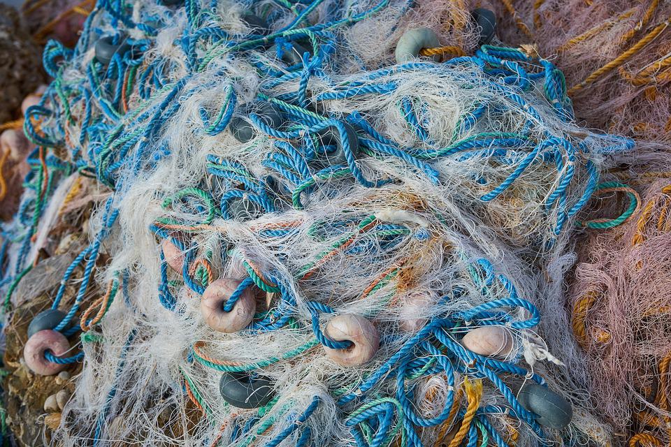 Are scientific bottom trawling efforts in the Gulf of Mexico damaging ...