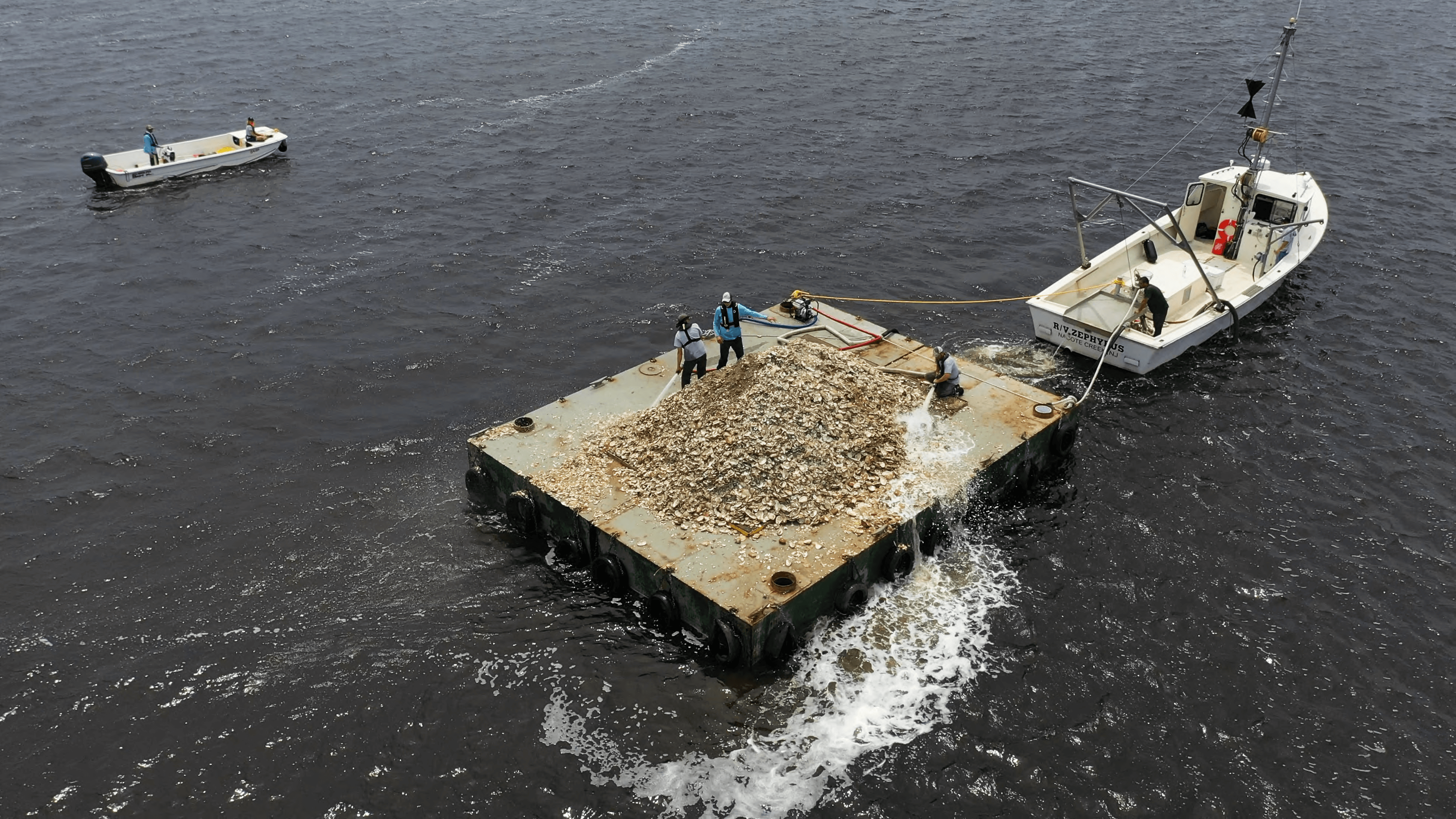 Atlantic City restaurants help recycle 100 tons of shell back to oyster ...