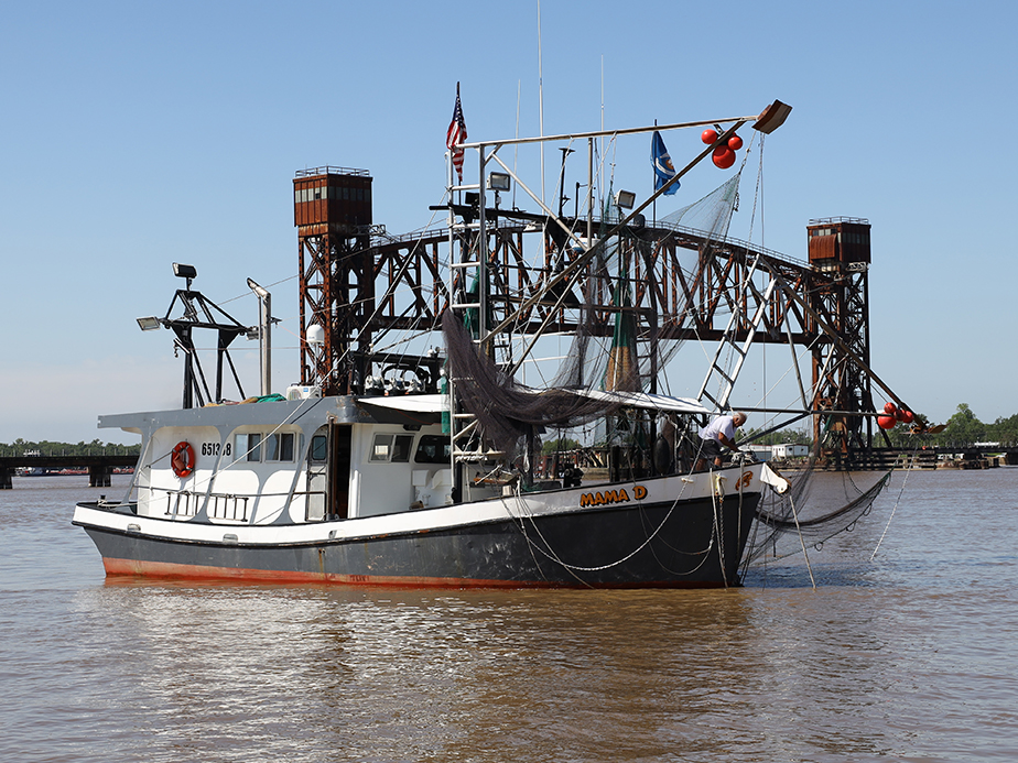 Louisiana spring shrimp season to open in a portion of inshore waters ...