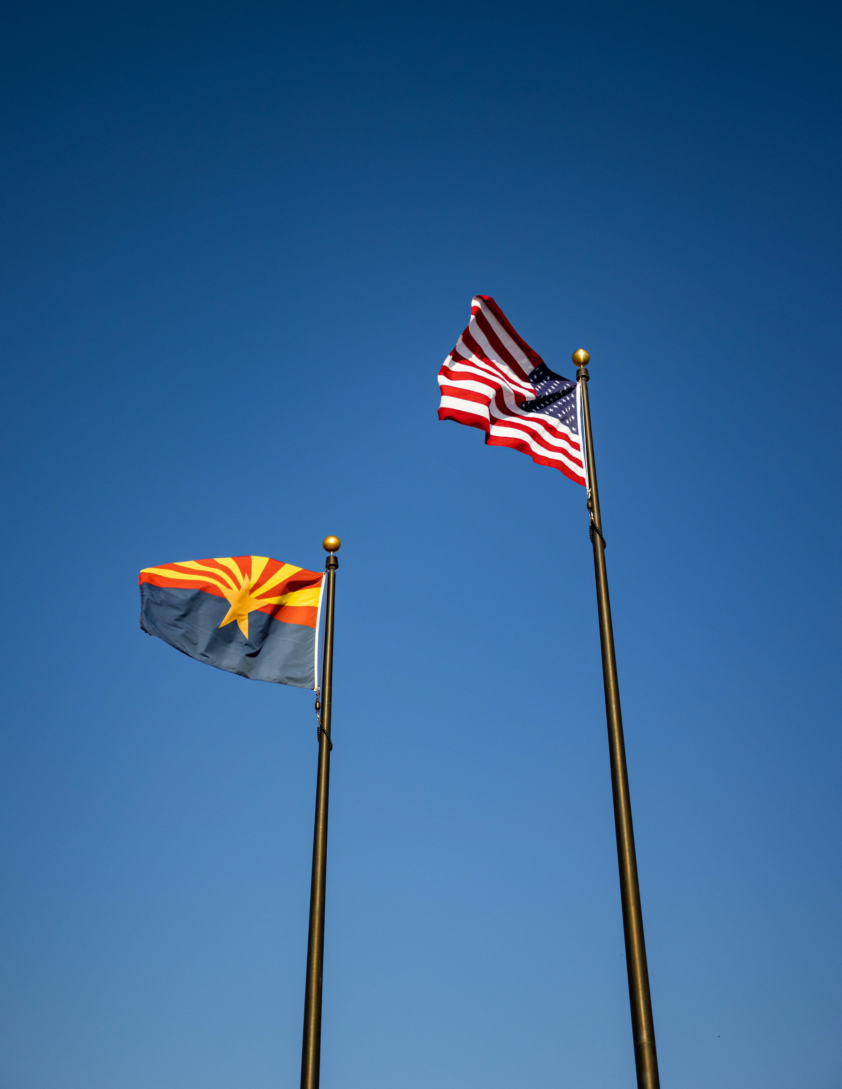 Organs of endangered fish species seized in Arizona bust | National ...