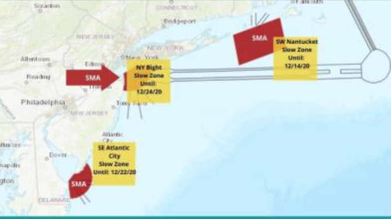 Report finds most ships breaking U.S. right whale speed limits ...