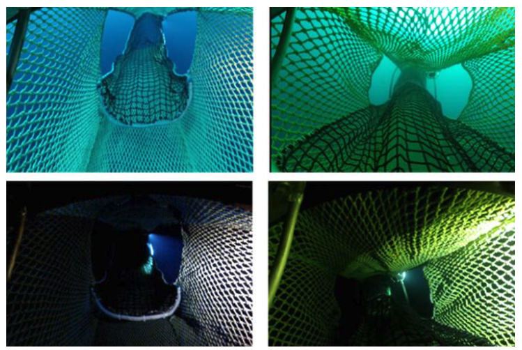 Alaska’s bycatch task force meets again, launches public archive ...