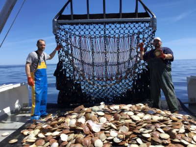 Scallop prices soar | National Fisherman