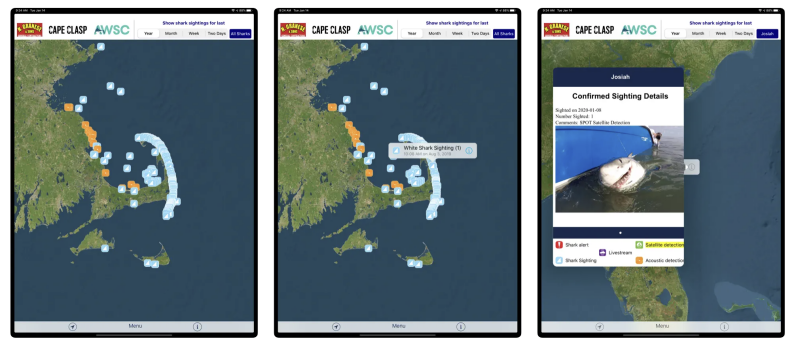 A Balancing Act between Sharks and Commercial Fishing | National Fisherman