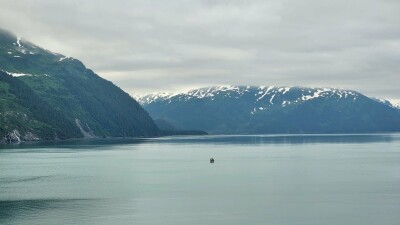 OBI Seafoods CEO sees challenging year for Alaska salmon | Commercial ...