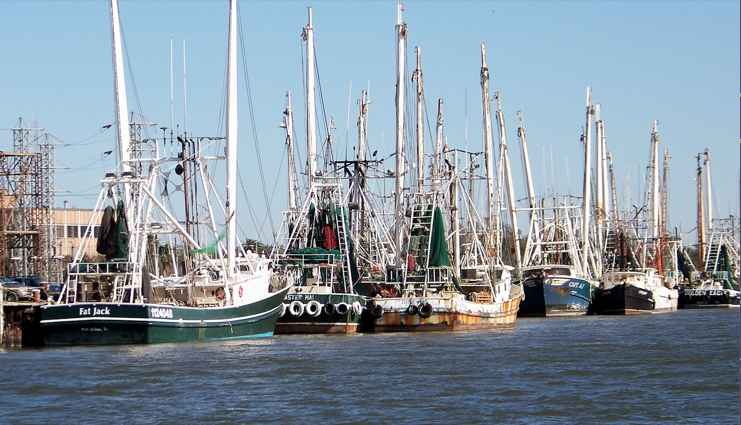 Texas shrimpers call for new coalition to fight imports | National ...