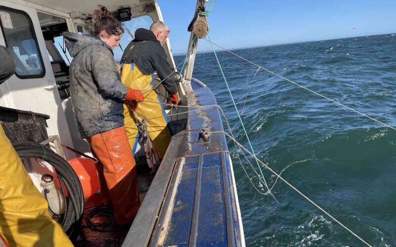 Local Catch app can revolutionize commercial fishing sales | National ...