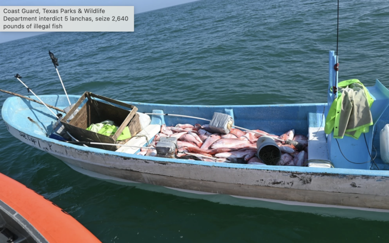 Five lancha crews nabbed in one day off south Texas | National Fisherman