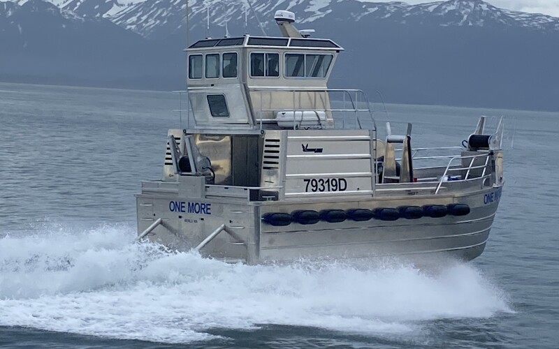 A bow-and-stern gillnetter from Peregrine Boats | National Fisherman