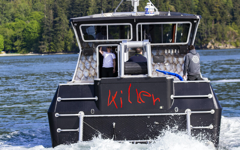 Killer revealed: Building a Bristol Bay gillnetter like no other ...