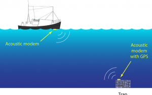 Ropeless traps offer little promise to fishermen or whales, lobstermen ...