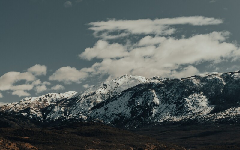 ‘Average’ sockeye run forecast for Upper Cook Inlet | National Fisherman