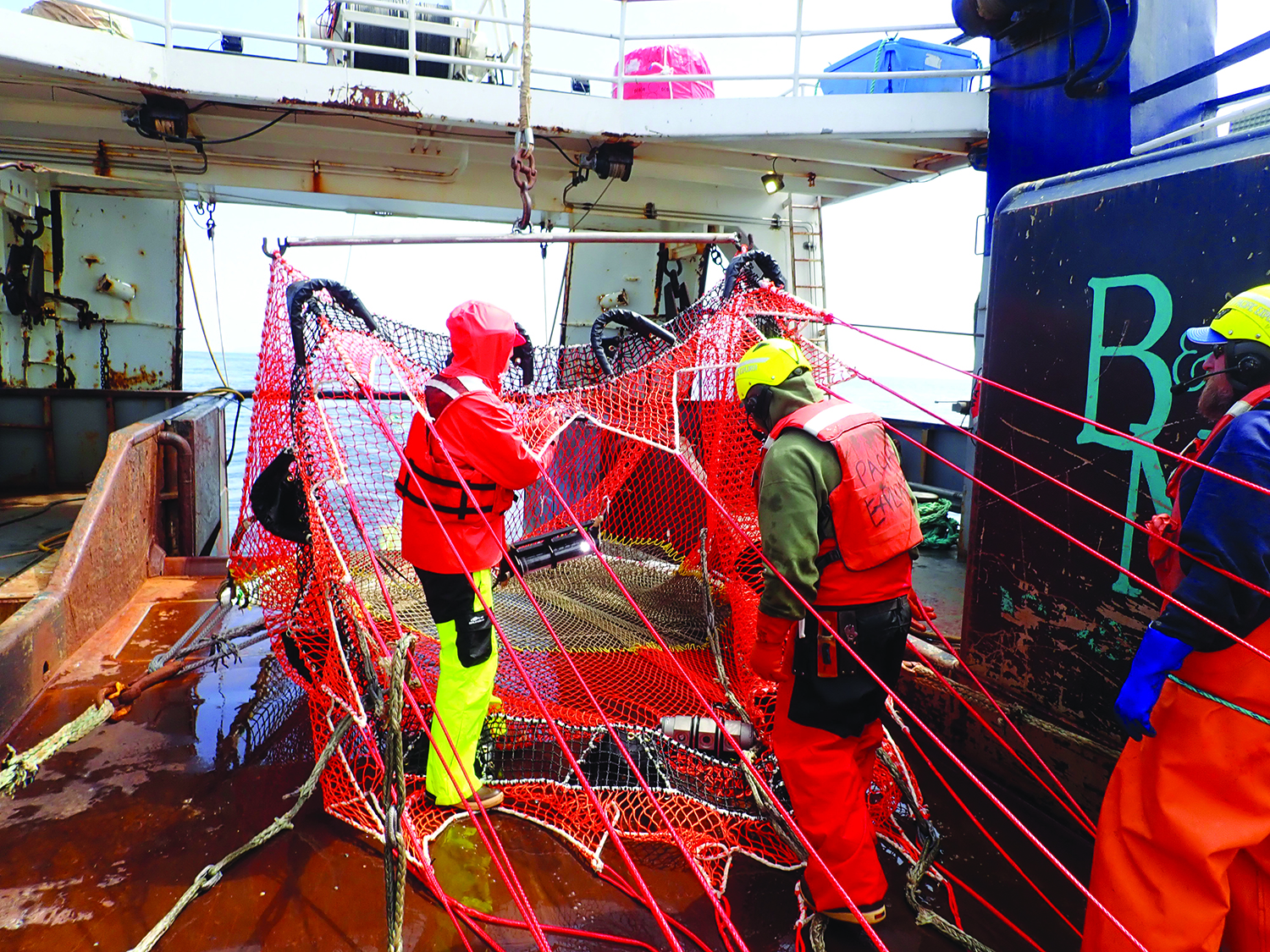Bye-bye bycatch: Net design and electronics help fishermen keep their ...