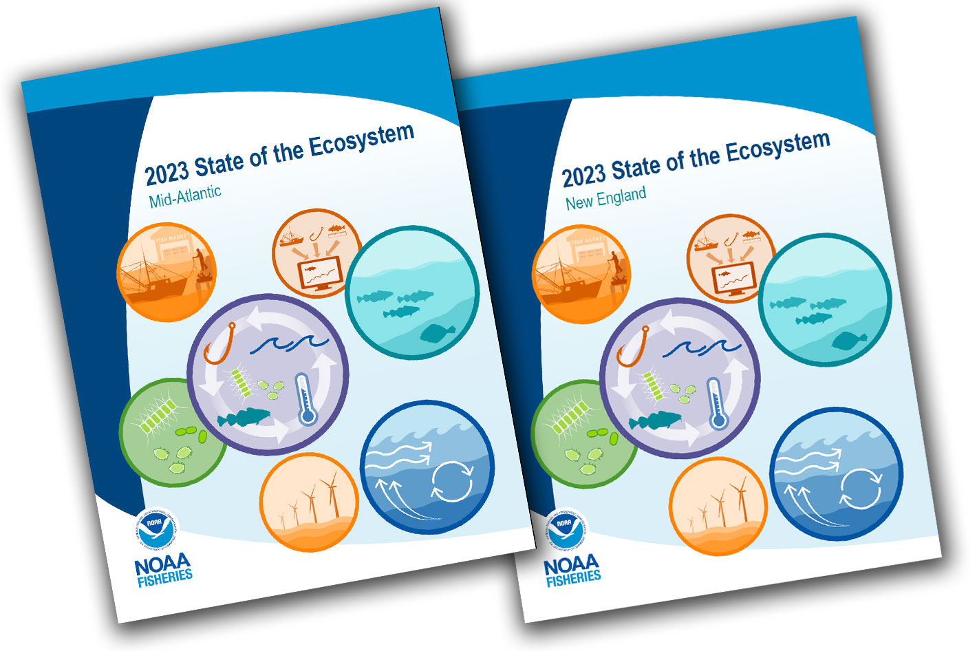 NOAA’s 2023 State of the Ecosystem: a tool for fishing management ...