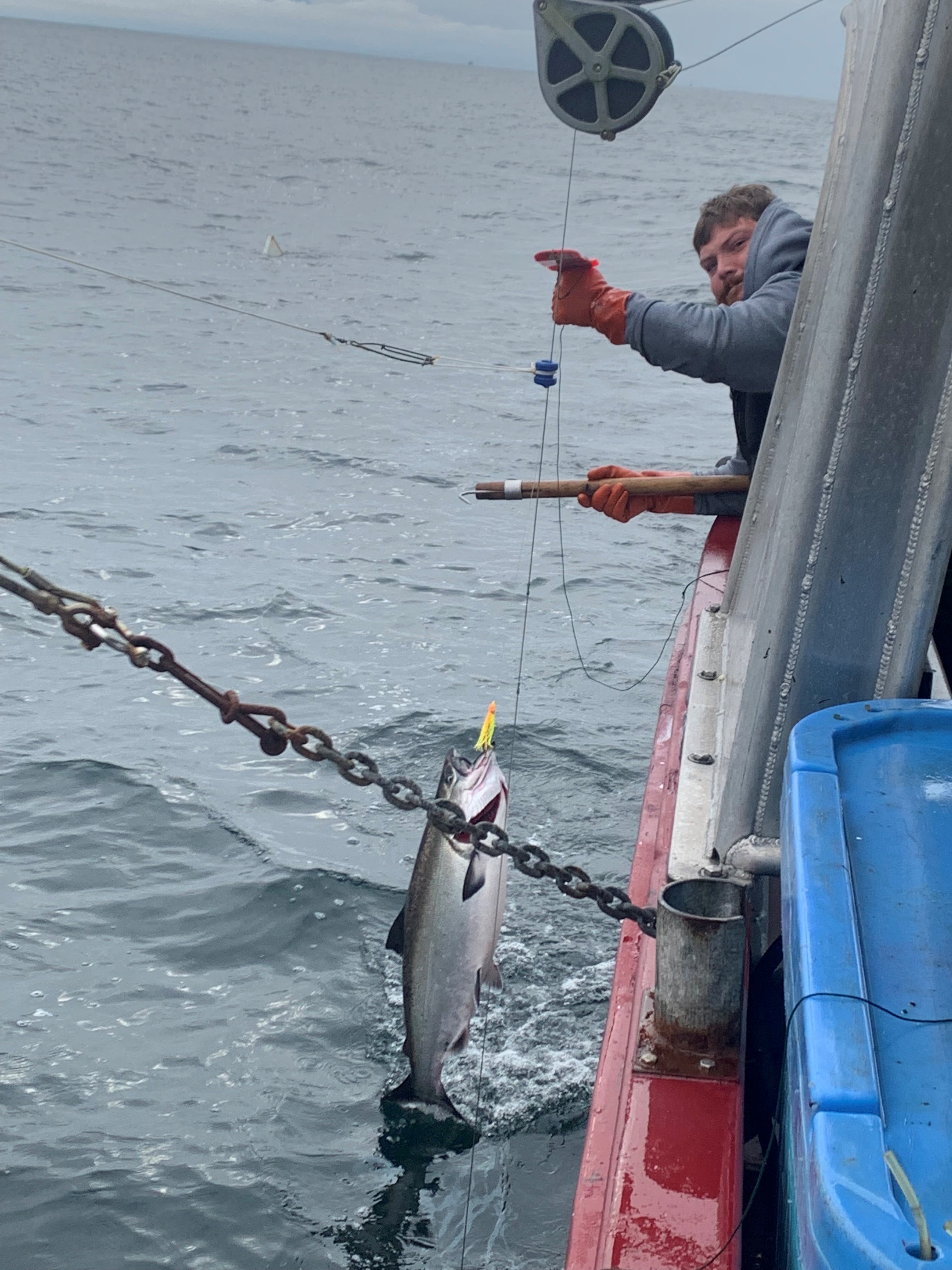 Group seeks Endangered Species Act protection for Alaska kings ...
