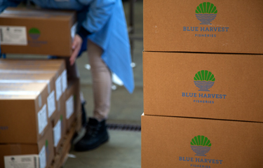 Blue Harvest, Channel Fish win contracts worth nearly USD 25 million ...