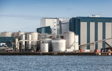 Global fishmeal, fish oil production higher year-on-year in January ...