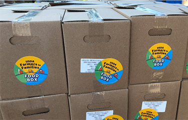 USDA awards USD 118 million in seafood contracts to US processors ...