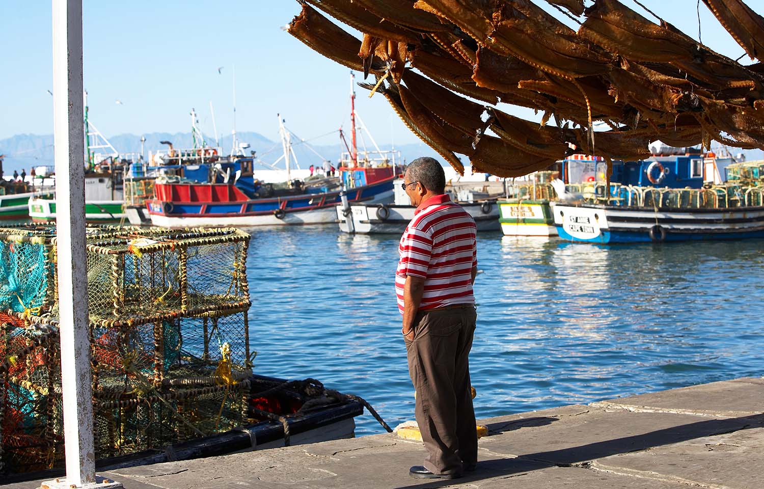 Discrimination, corruption claims rock South Africa’s fishing quota ...