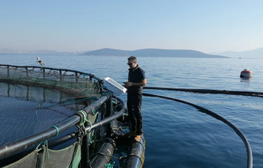 Israeli aquatech start-up GoSmart counting on NVIDIA AI platform to ...