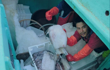 Latin American fishing group criticizes China’s squid-jigging ...