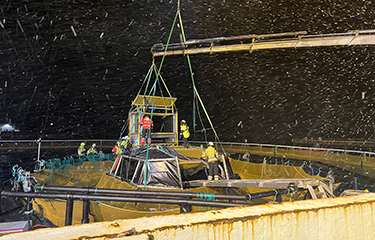 Cermaq achieves 95 percent survival rate in its Atlantic salmon farming ...