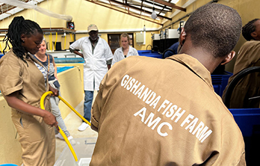 Rwanda gets new RAS fish farm to tackle fingerling needs | SeafoodSource
