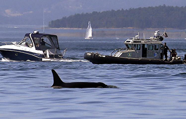 NOAA Fisheries law enforcement plans on subscribing to commercial ...