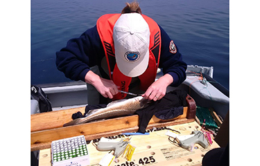 Early data from Canadian cod FIP hinting at new methods to aid fishery ...