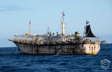 China announces moratoriums for squid fleet in Atlantic, Pacific ...