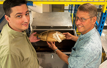 US FDA, NOAA release DNA barcode library to identify fish | SeafoodSource