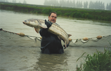 California fish farm receives USD 14 million investment | SeafoodSource