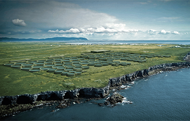Landeldi conducts first commercial harvest at land-based salmon farm in ...