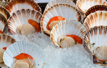UK shellfish sector hit with EU ban | SeafoodSource