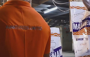 Avanti Feeds buys power company, reports 17.4 percent drop in sales ...