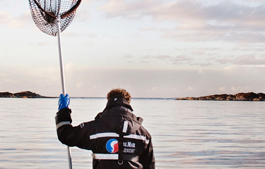 Bumper 2021 salmon harvest for SalMar | SeafoodSource