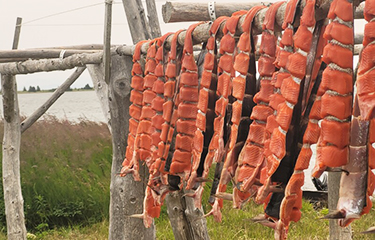 Battle flares anew over Alaska subsistence fisheries | SeafoodSource