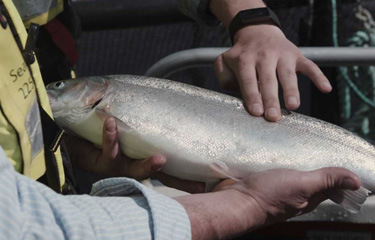 After leaving Hendrix Genetics, Neil Manchester lands at Kames Fish ...